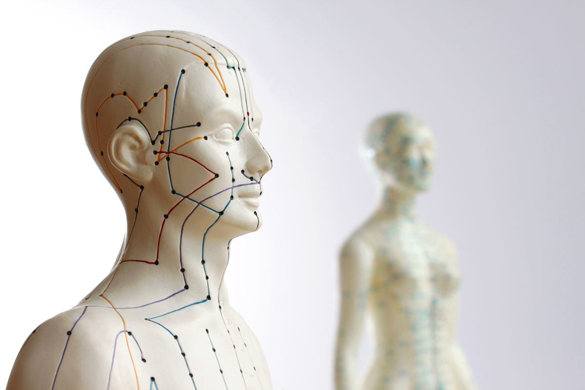 Acupuncture Raleigh | Shin Yi Acupuncture & Herbal Clinic